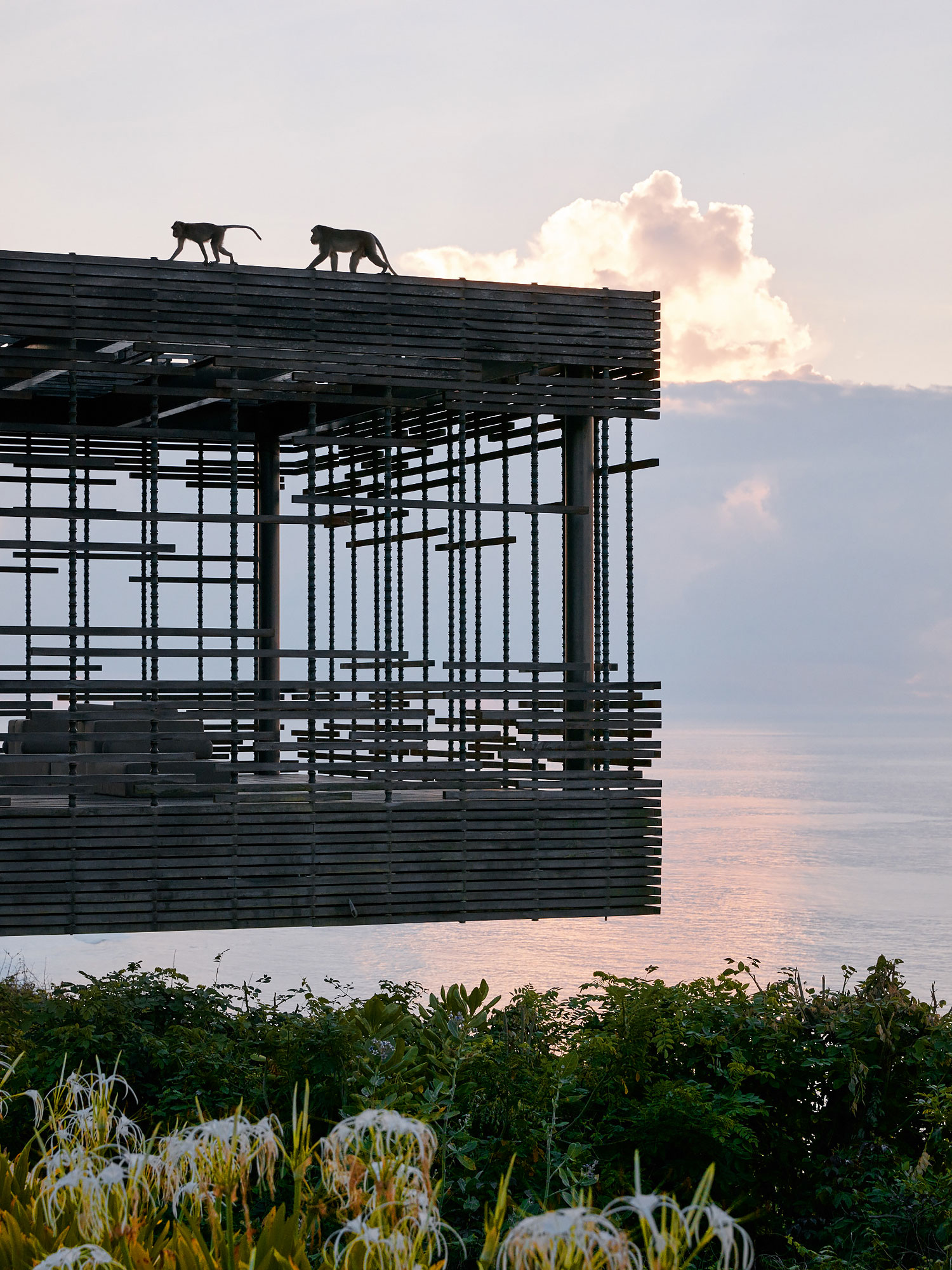 Lucas Allen | Coco Productions